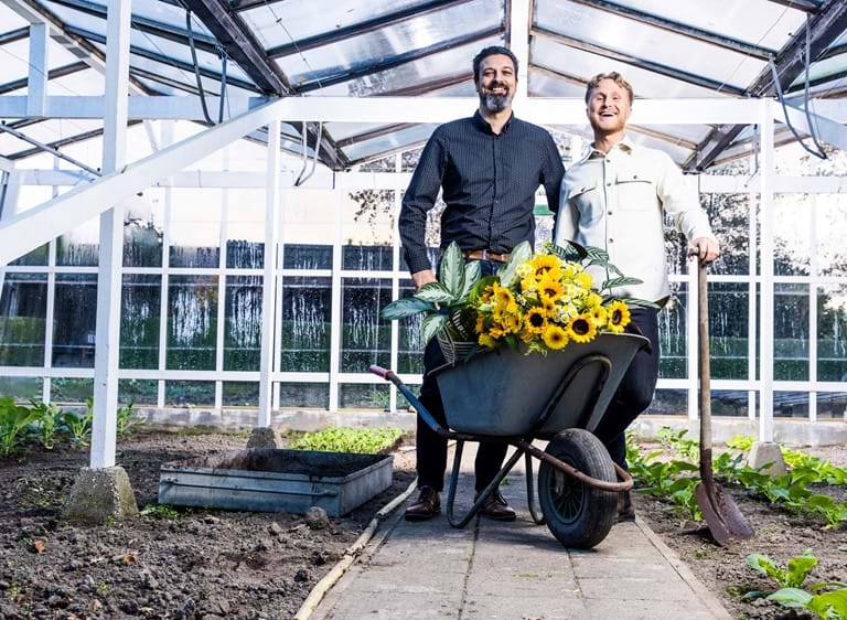 SuperFlora - Creating Colourful Connections