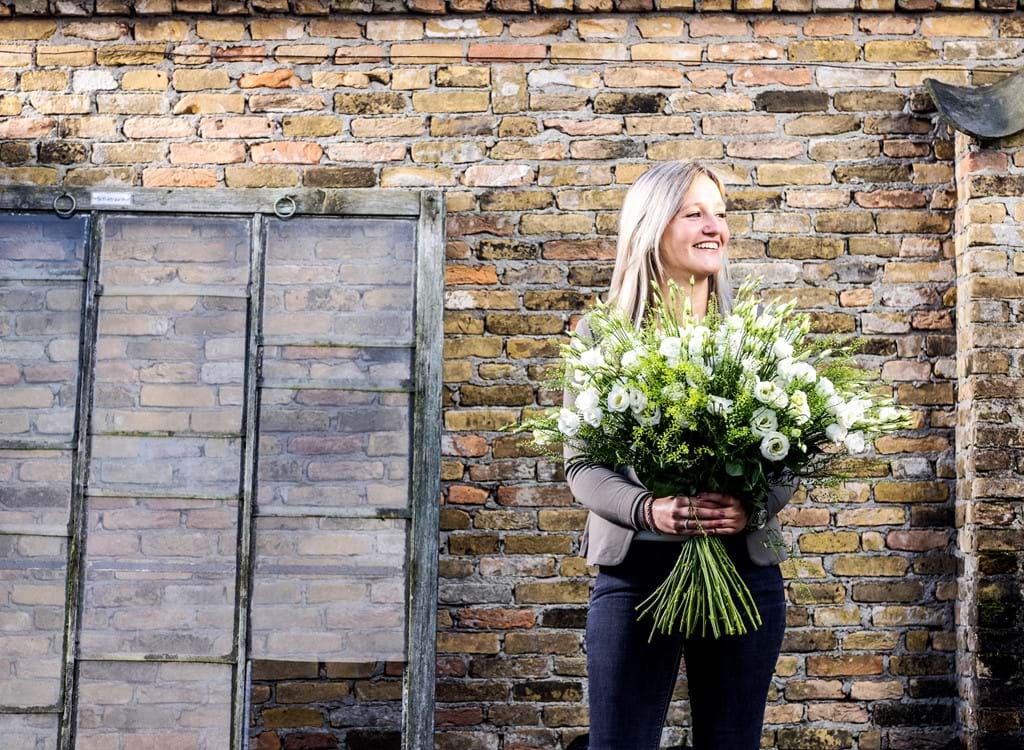 SuperFlora - Creating Colourful Connections